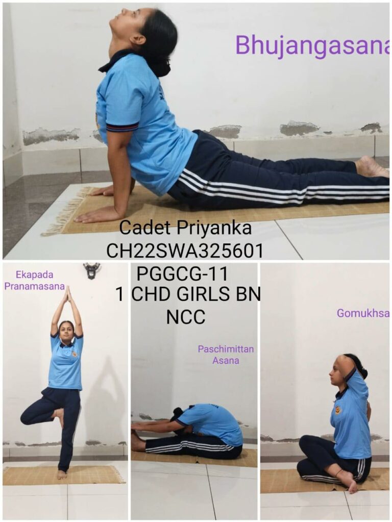 PGGCG-11 celebrated 10th International Yoga Day 2024 – Post Graduate ...